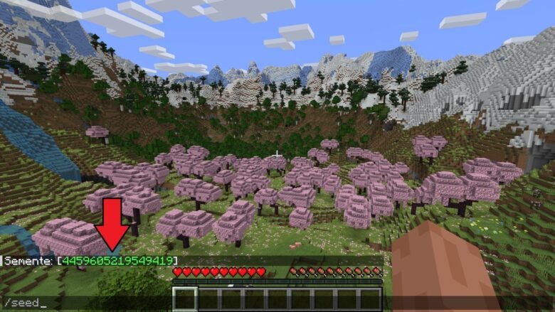 Como ver a seed de um server no Minecraft